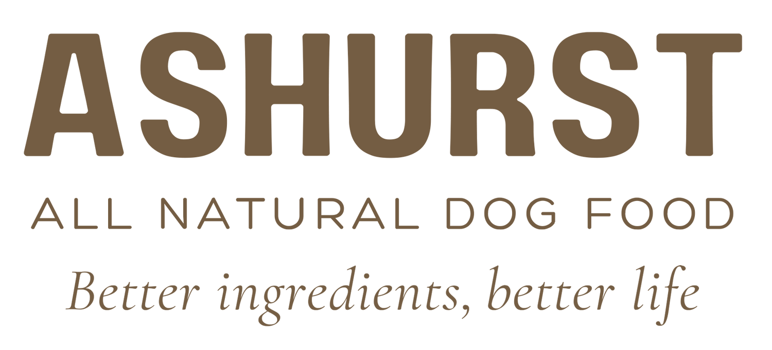 Ashurst Equestrian & Country | Premium Equestrian Gear & Country Life